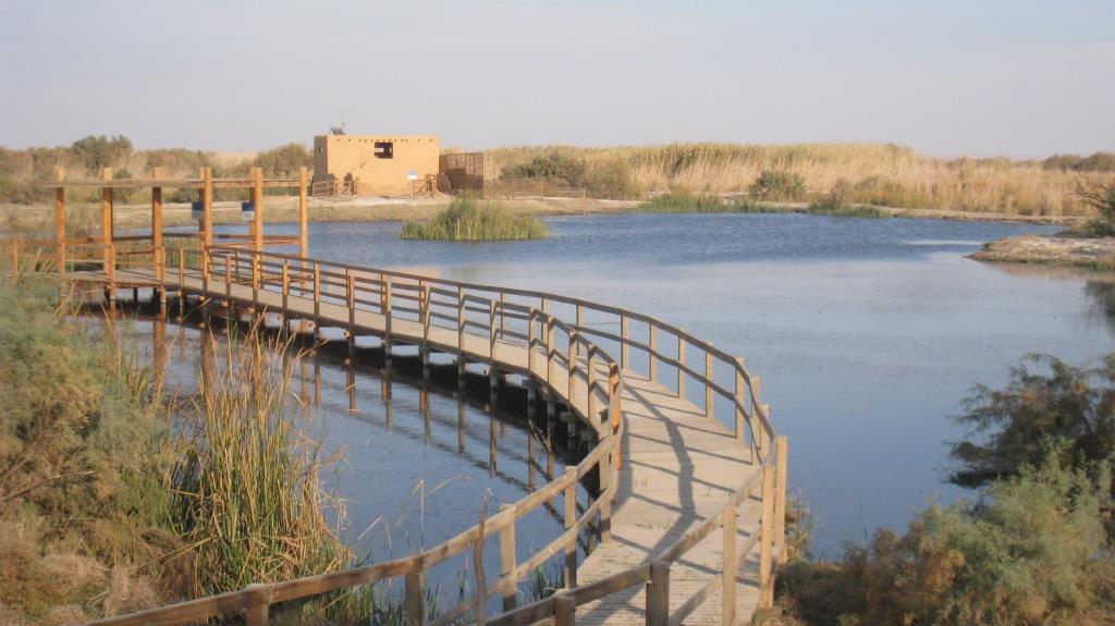 4 Desert Castles & Azraq Oasis